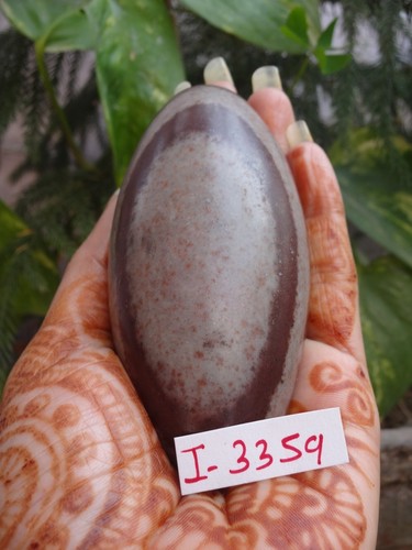 3.75 " Shiva Lingam Pierre Narmada Rivière Inde Attrective & Rare ...