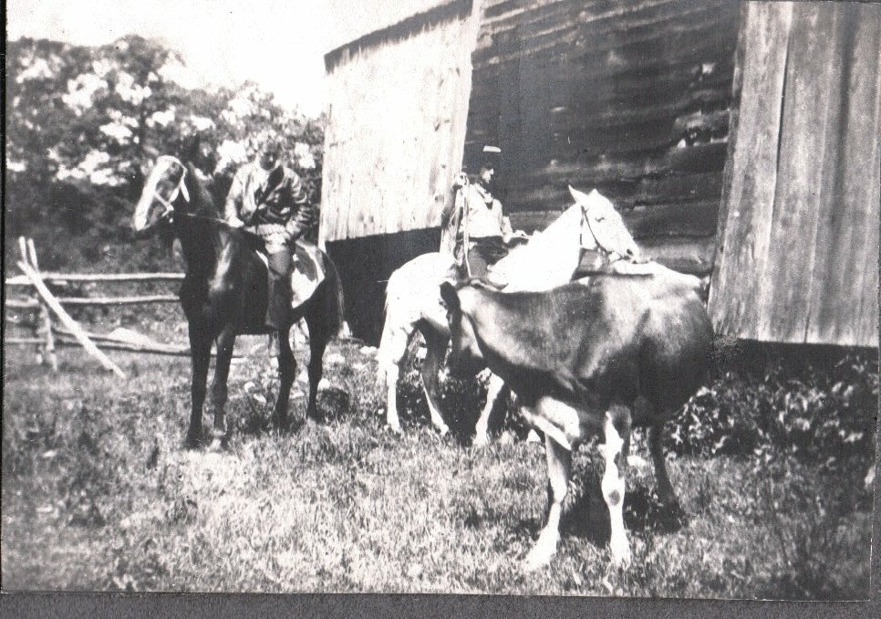 VINTAGE PHOTOGRAPH 1915-1920 RANCHERS HORSES COW FARM NEW YORK ...