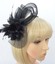 Spring Racing Race Party Melbourne Cup Feather Fascinator Headband ...