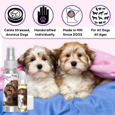 Havanese Relax Dog Aromatherapy | Calms Anxious, Scared, Stressed Dogs ...