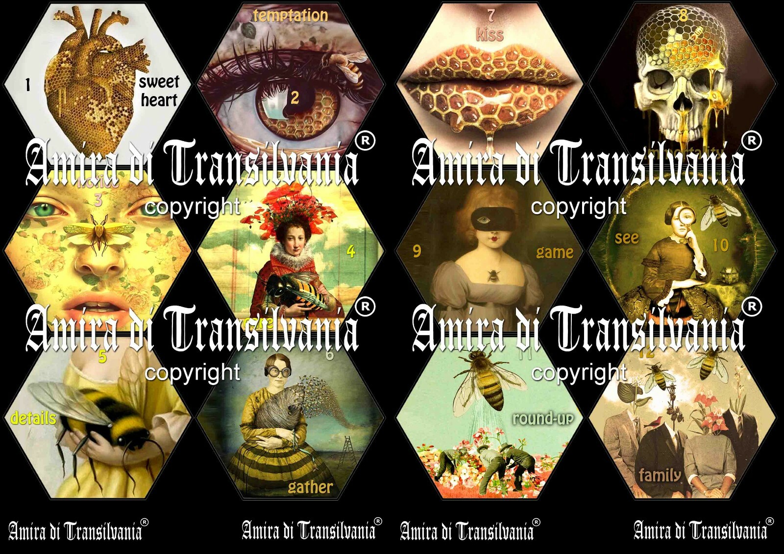 tarot card cards deck honey bee oracle guide book maior minor arcana ...