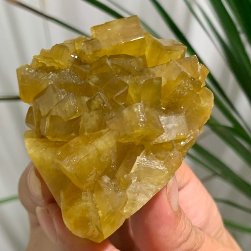260G Shiny Golden Cuboid Barite Crystal Based on the Purple Spherical ...