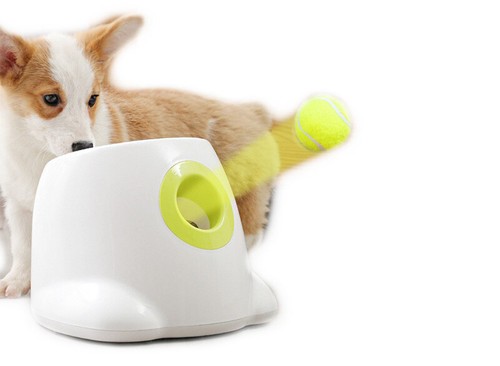 Dog toy tennis machine Pinball machine Spitting machine throwing ball ...