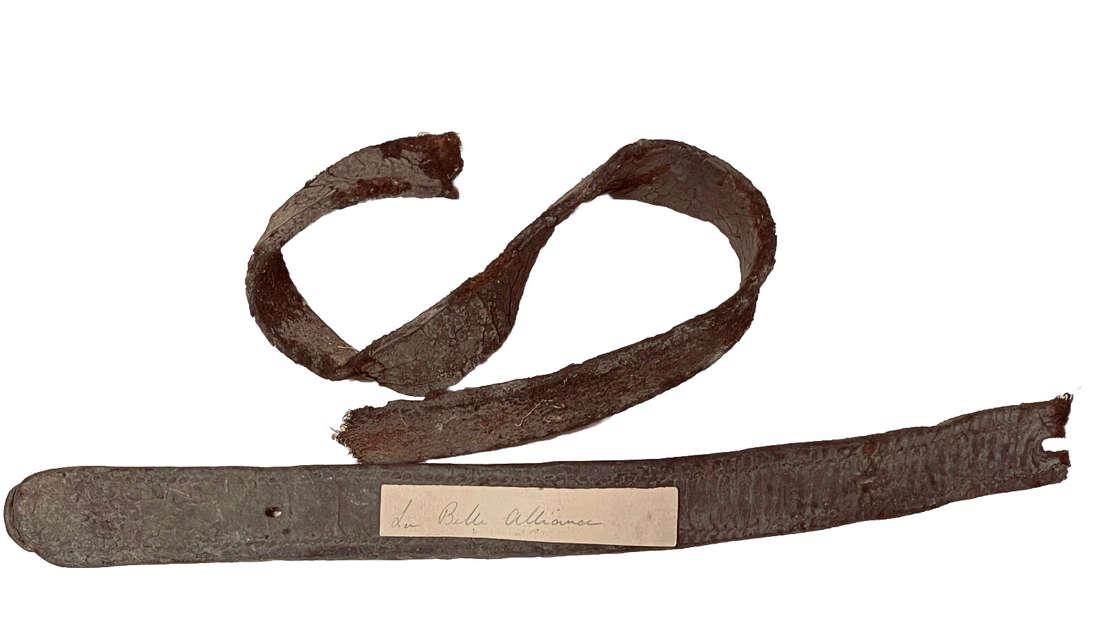 Waterloo La Belle Alliance Relics from Napoleon’s Last Battle | eBay