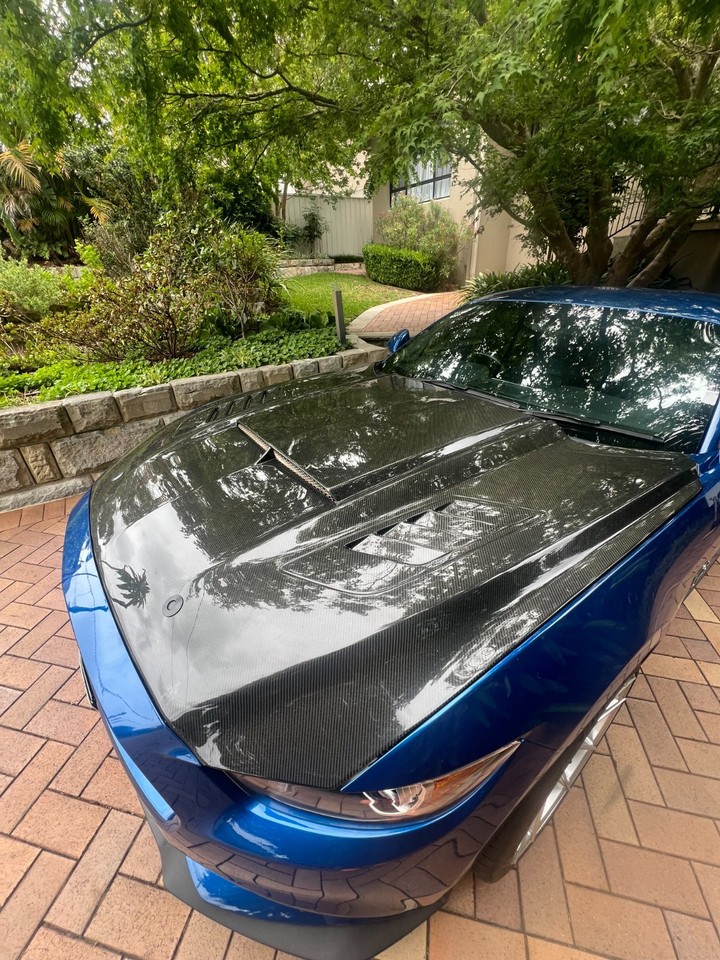 Mustang S550 Carbon Package, Hood/bonnet, trunk/boot and rear spoiler ...