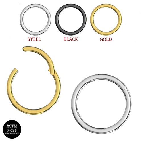 Grade 23 Titanium Hinged Segment Clicker Ring Plain PVD Nose Ear 8g 10g ...