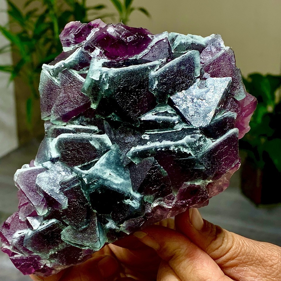 1.93LB Rare transparent purple-green cubic fluorite mineral crystal ...