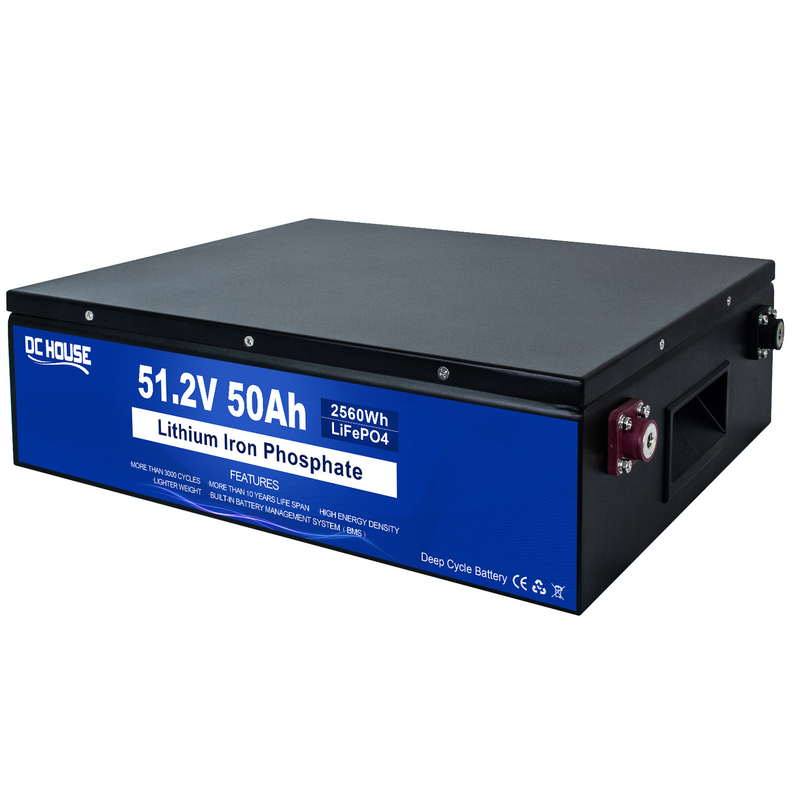 DCHOUSE 48V 50Ah 100Ah 200Ah LiFePO4 Lithium Battery Metal Case BMS RV ...