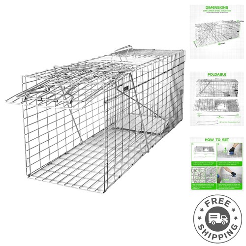 Lightweight 32" Animal Cage Trap - Safe Capture for Raccoons, Cats, and More | eBay