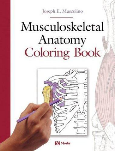 Musculoskeletal Anatomy Coloring Book by Joseph E. Muscolino (2004 ...