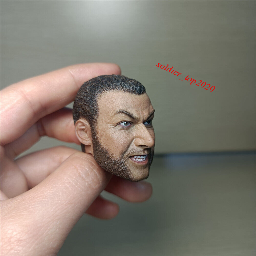 1:6 Logan Wolverine Liev Schreiber Angry Head Sculpt For 12" Male ...