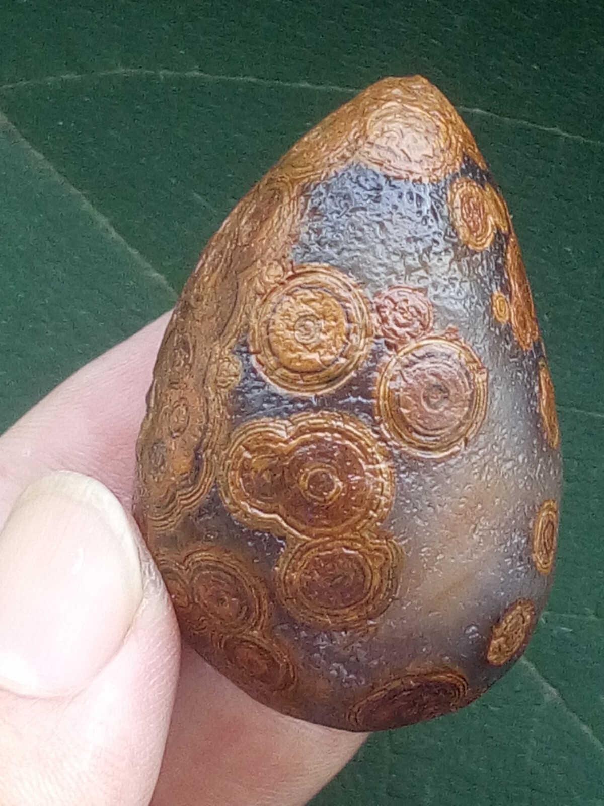 47mm Natural GoBi agate eye agate/stone Suiseki-viewing collection ...