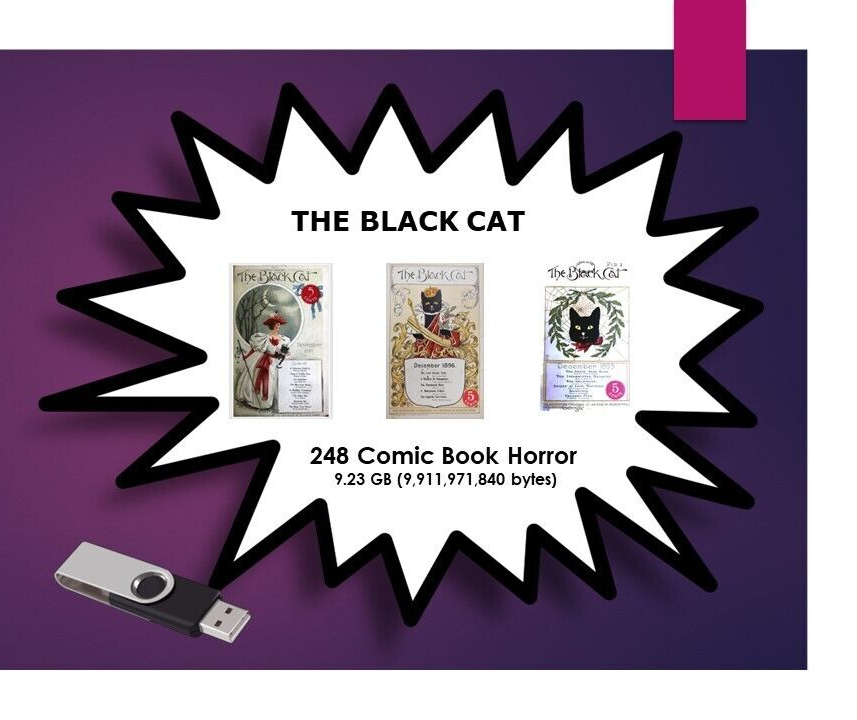 THE BLACK CAT - COMICS / BOOKS - 248 FILES OF CBZ FILES ON USB - FREE ...