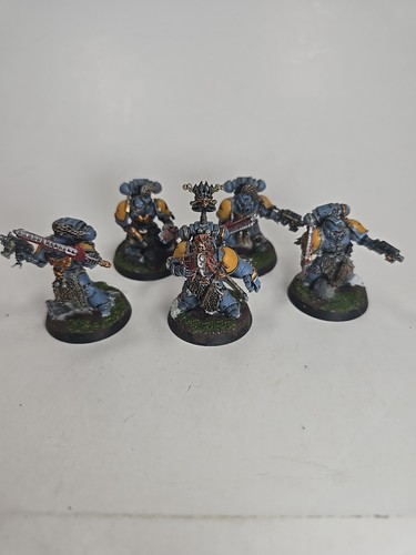Warhammer 40k Space Wolves Intercessors x5 First Born | eBay