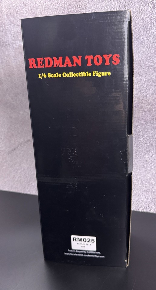 1/6 Action Figure REDMAN TOYS RM025 Blade Runner Villain Roy Batty ...