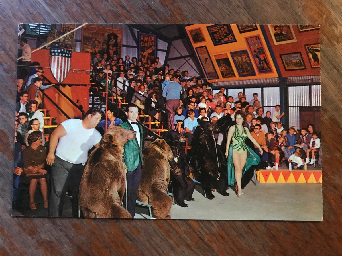 Circus Animal Acts