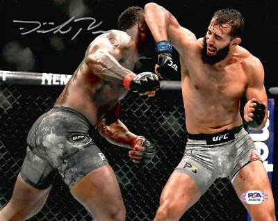 Dominick Reyes autographed signed 8x10 photo UFC The Devastator PSA COA ...