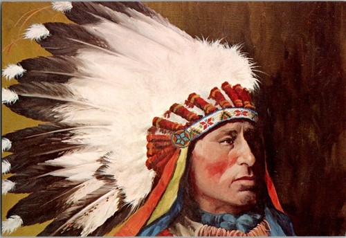 Vintage Postcard Chief Lone Bear Sioux by Gabriel Karden 1975 C-571 | eBay