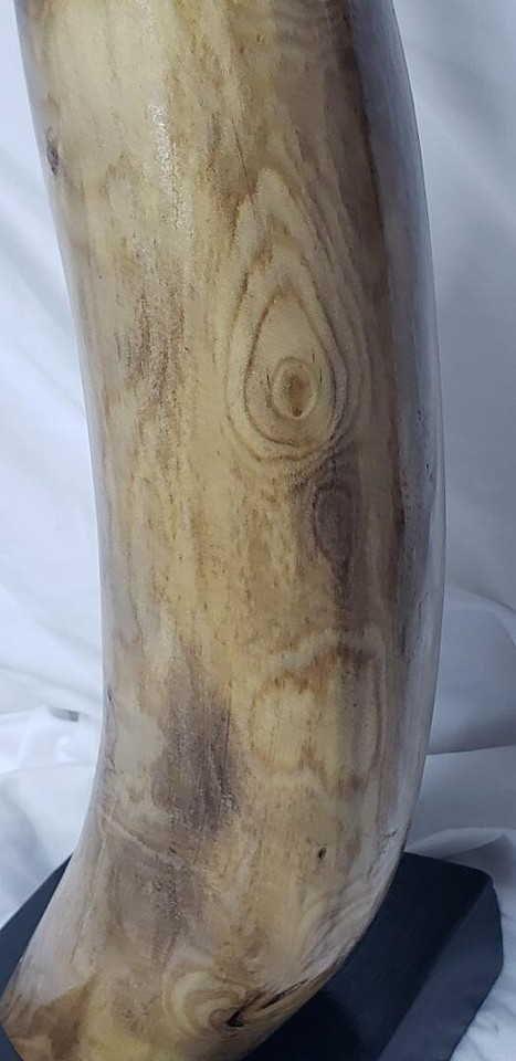 PREHISTORIC Rhino Horn Replica Custom ART 16" Realism MADE FROM WOOD 🦏 ...