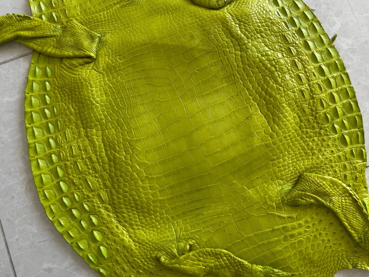 Green Alligator Skin