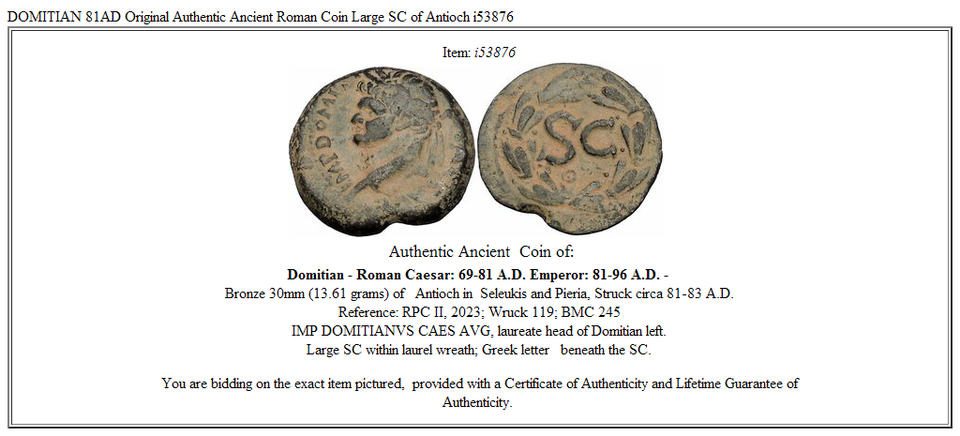 DOMITIAN 81AD Original Authentic Ancient Roman Coin Large SC of Antioch ...
