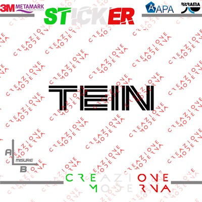 ADESIVO STICKER LOGO TEIN MISURE PERSONALIZZATE | eBay