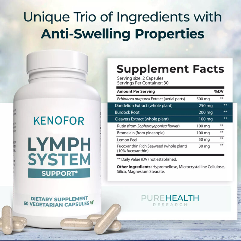Lymph System Support - Supports Intestinal Lipid Absorption 3 pack | eBay