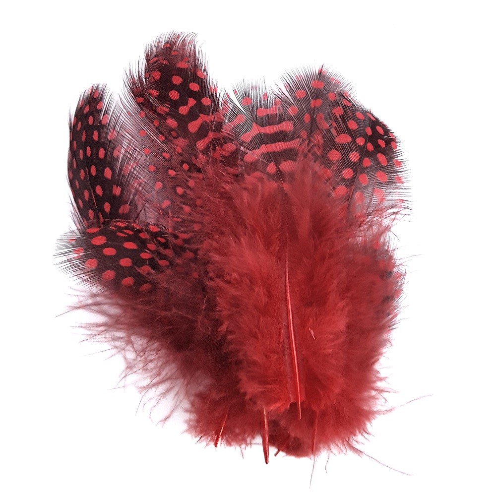 ATST® Coloured Spotty Feathers - Polkadot Small Colour Craft or Hat ...