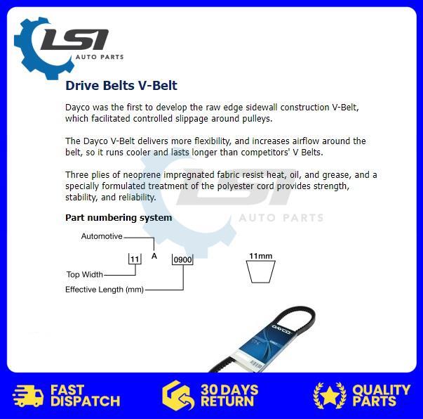 1x Dayco V BELT 15720 11A1830 | eBay