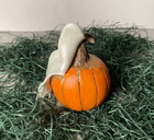 Pumpkin Ghost Handmade, Perfect for Halloween, Ghost on a pumpkin Large ...