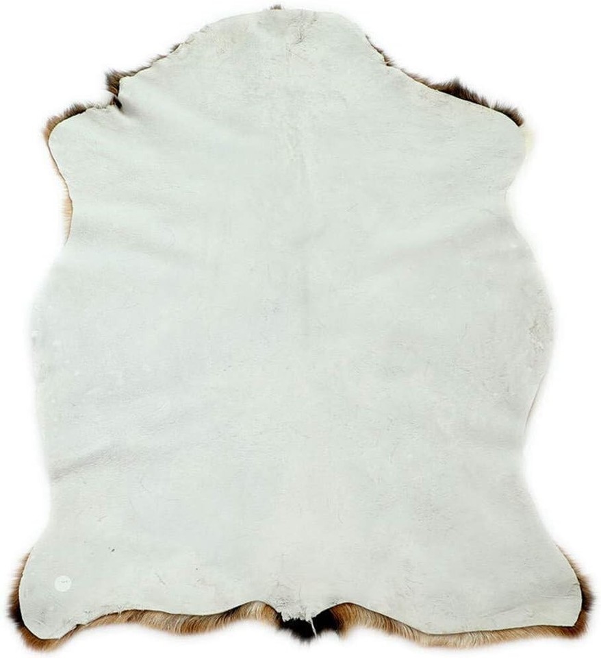 Real Deer Hide Rug Skin Leather Hide Deerskin Taxidermy Specimens ...