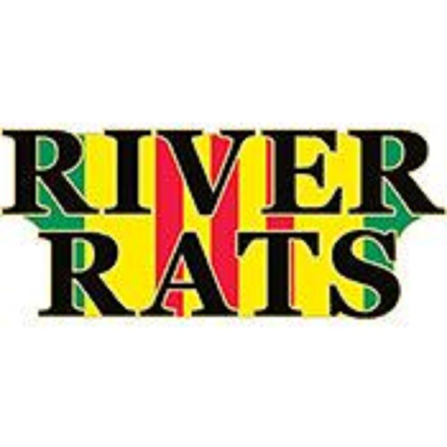 NAVY RIVER RATS VIETNAM RIBBON LAPEL PIN BADGE | eBay