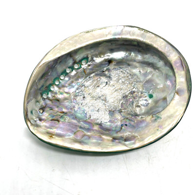 Vintage Mid Century Large Abalone Shell Bowl Ashtray Lucite Exterior 6 ...