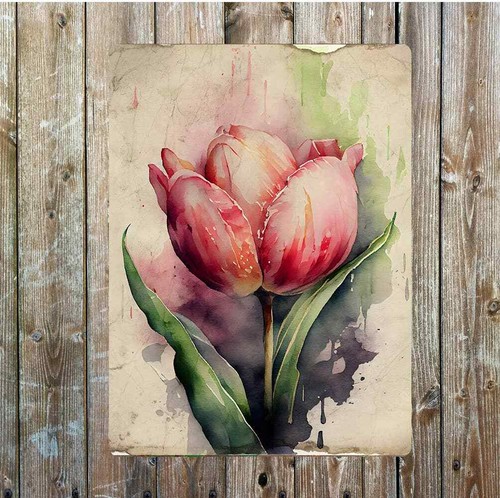 Pink Red Tulip Flower Portrait Metal Sign Plaque | eBay UK