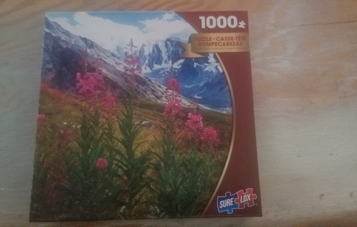 1000 Piece Sure Lock Jigsaw Puzzle Mountain Scene (bottom of the box is ...