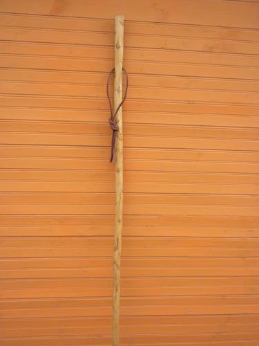 TALL STRAIGHT LIGHT WEIGHT YUCCA PLANT HIKING STICK 65" 12.8 OZ GOLDEN ...