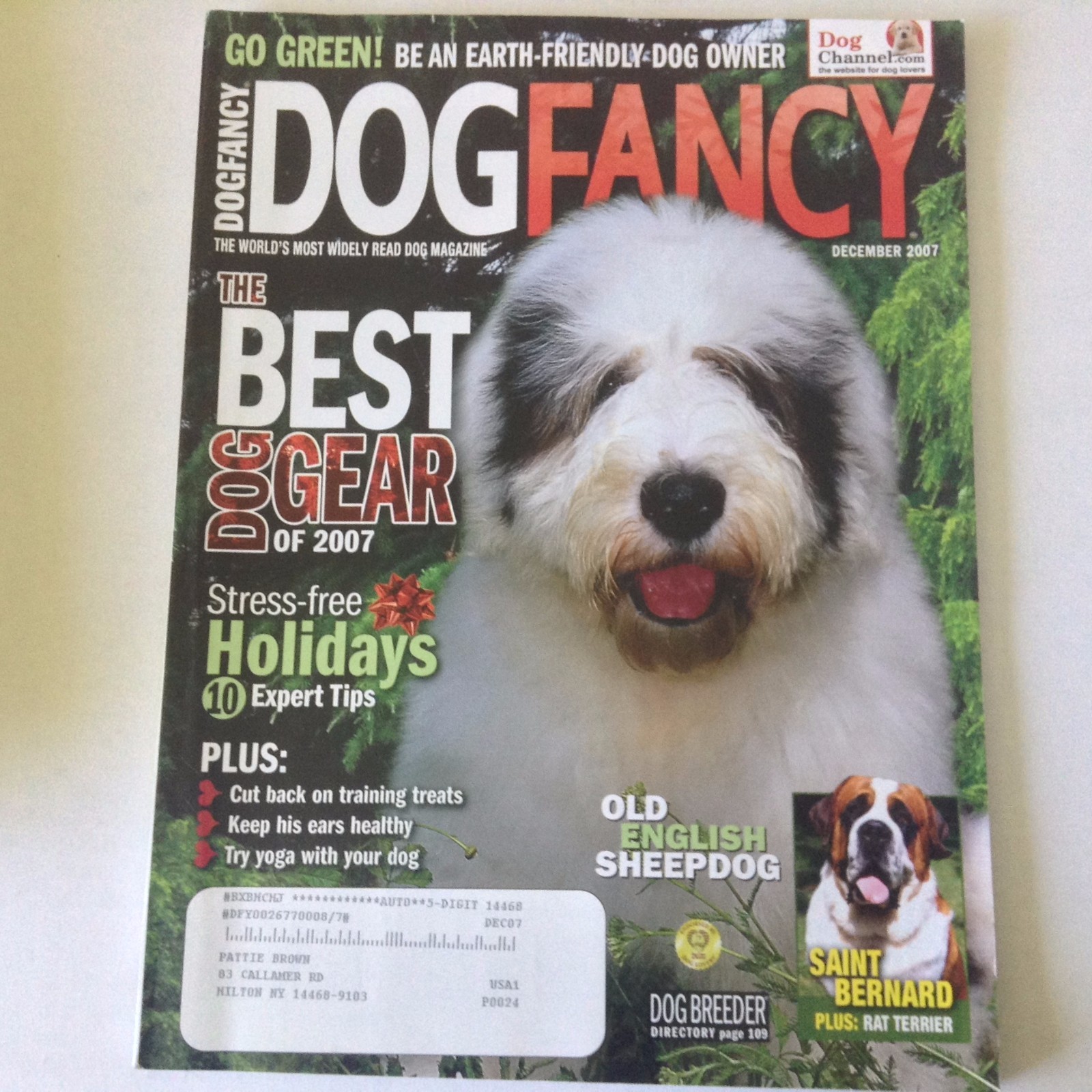 Dog Fancy Magazine Old English Sheepdog December 2007 060717nonrh | eBay
