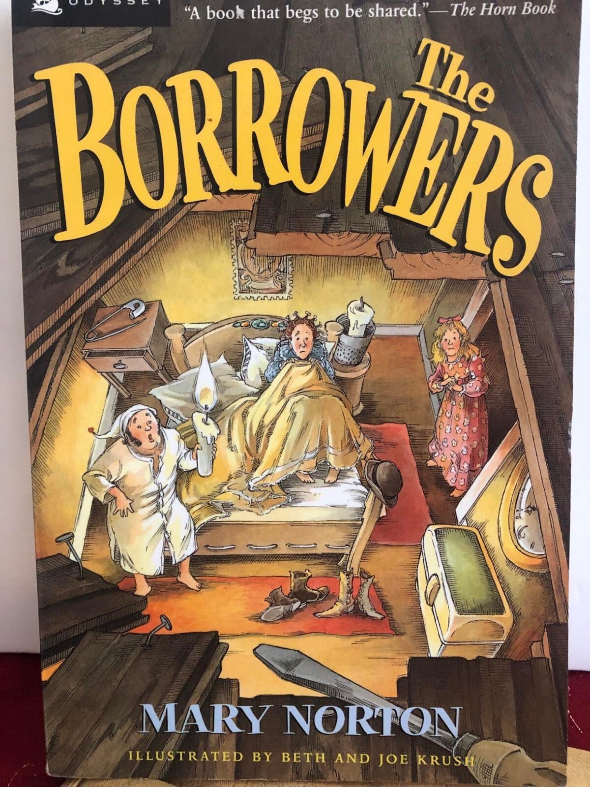 The Borrowers Book