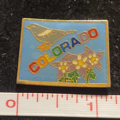 Colorado Souvenir State Lapel Pin Hat Vest Tie Tack resin gold tone ...