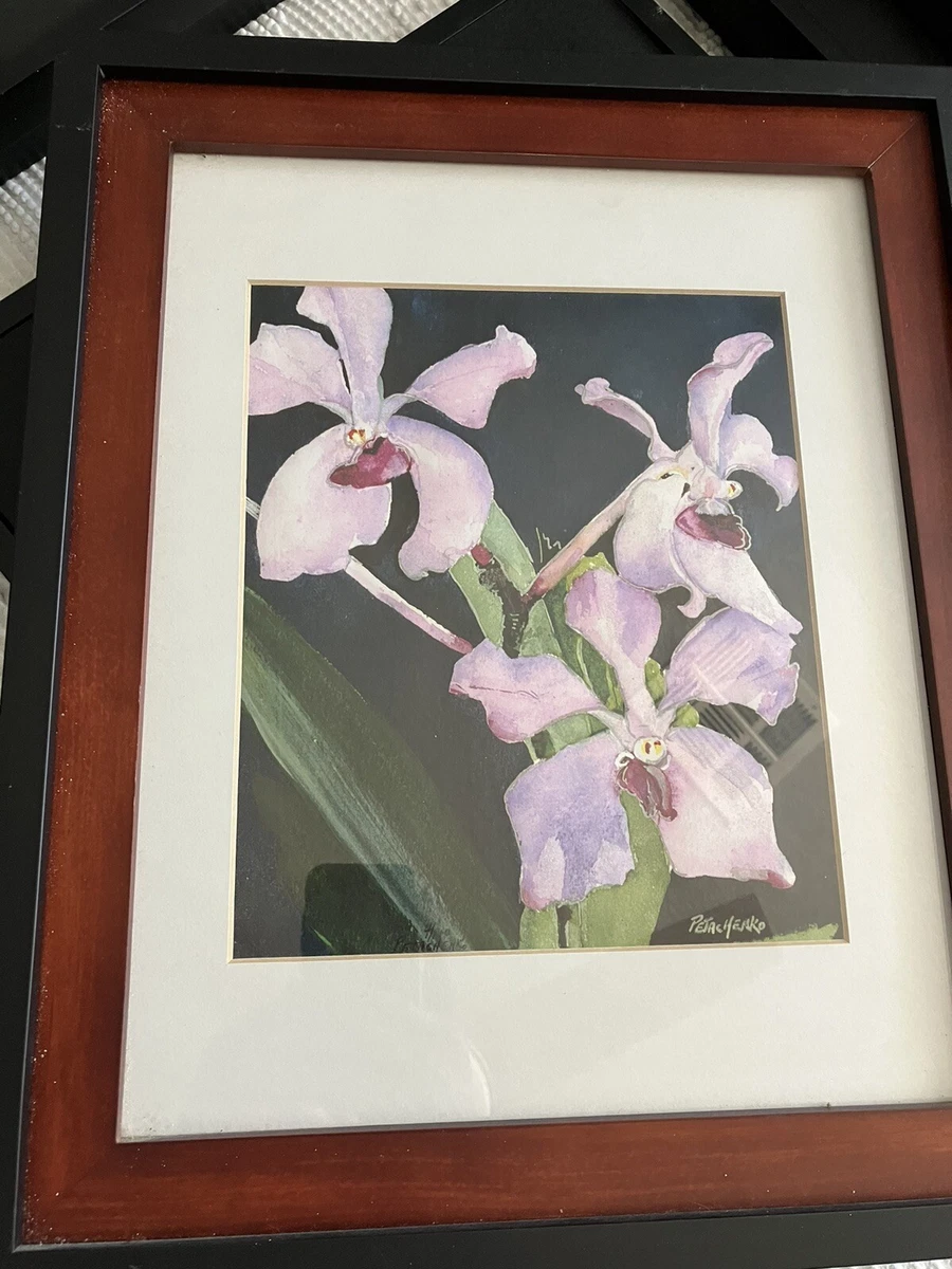 St Croix Virgin Islands Flower | Best Flower Site