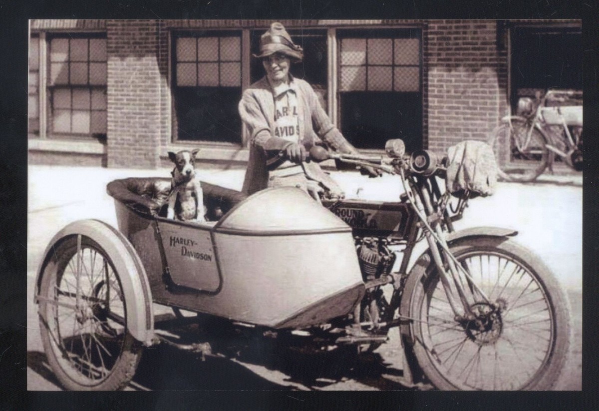 Motorcycle With Sidecar Dog