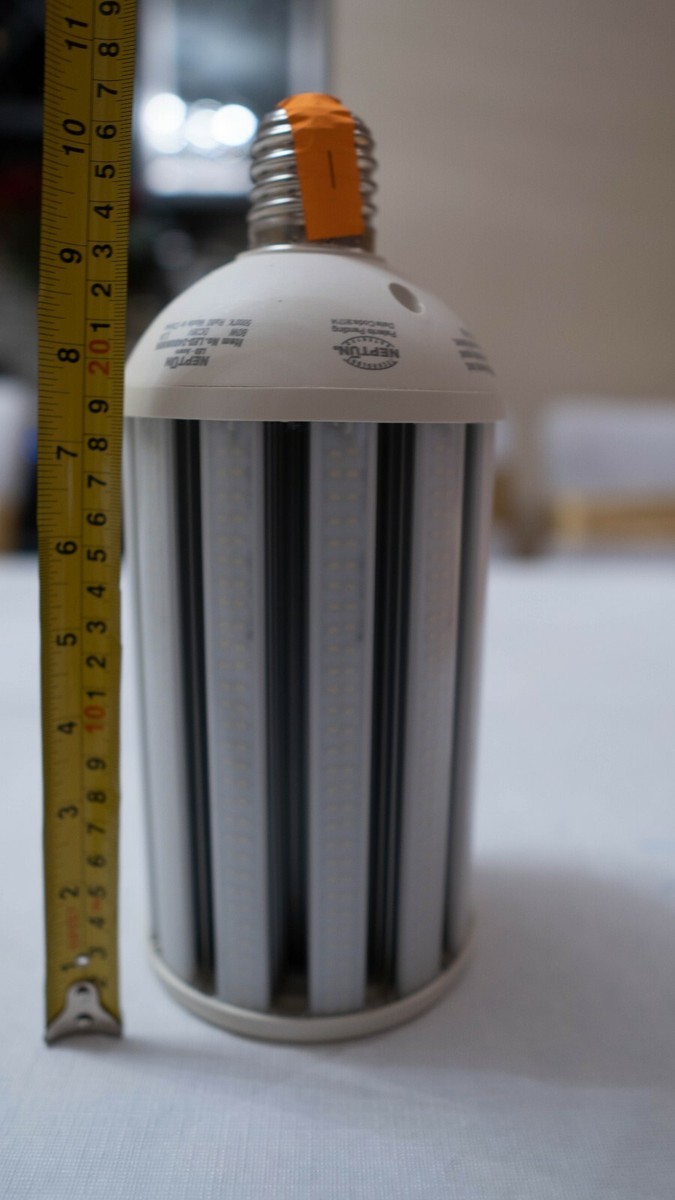 Neptun Lighting Led | Shelly Lighting