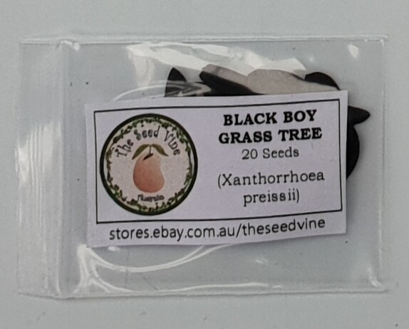 What Are Black Boy Trees Called Now - Infoupdate.org