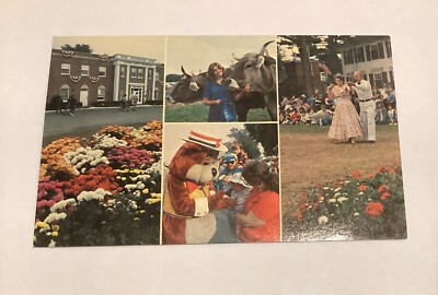 Big E Eastern States Exposition Fair Springfield Massachusetts Postcard ...