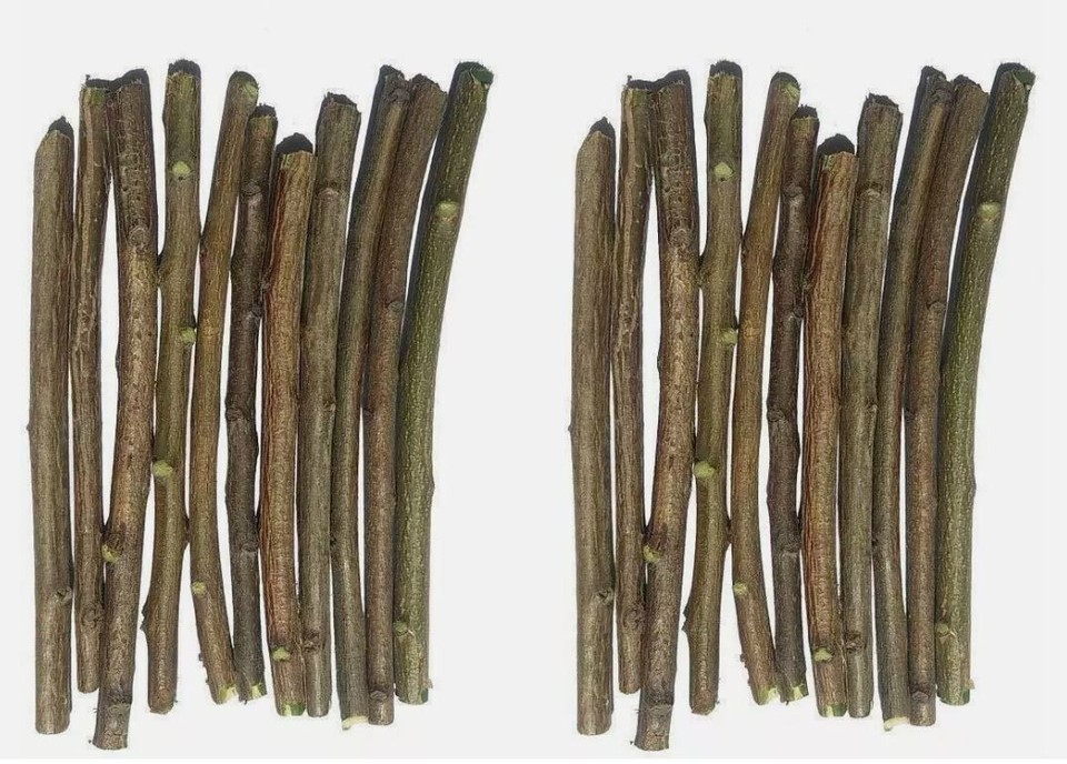 Neem Tree Twigs – Natural Neem Datun Organic Toothbrush | 20 Chew ...