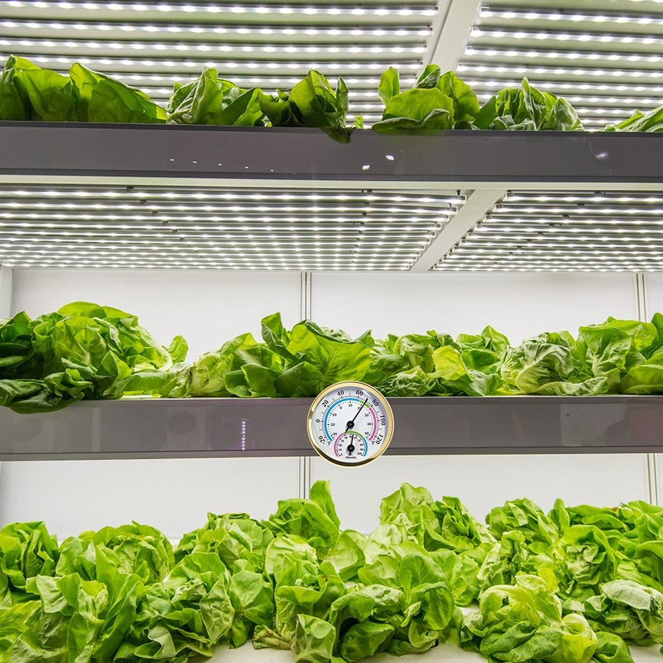 4pcs Indoor Outdoor Thermometer Weather Thermometer Hygrometer ...