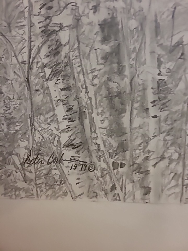 Peter Corbin SIGNED 1979 Pencil Drawing Of Birds E-1 | eBay