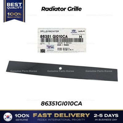 ⭐Genuine⭐ Radiator Grille 86351GI010CA for Hyundai Ioniq 5 | eBay