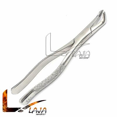 American Pattern 222 Dental Extracting Forceps Dental Instruments | eBay