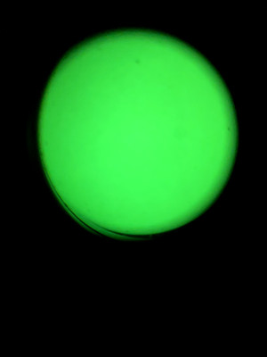 MX-10130 AN/PVS-7 Gen 3 Image Intensifier Tube, OMNI VI, A Grade | eBay